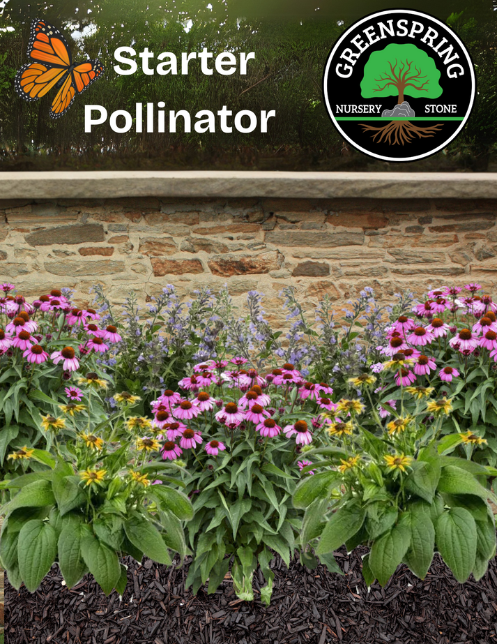 Pollinator Garden - Starter – 7 Plants for Bee & Butterfly Habitat ...